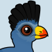 Great Blue Turaco: Vivid Colors and Striking Features | Birdorable