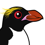 Cute Lord Howe Woodhen by Birdorable