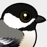 Chickadee Pumpkin Pattern by Birdorable
