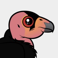 Vulture Word Search by Birdorable