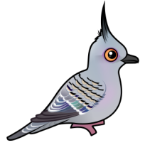 Birdorable – Unique Cute Bird Gifts & T-Shirts for Bird Lovers