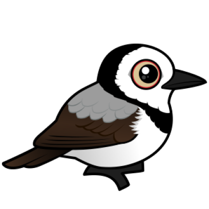 Birdorable – Unique Cute Bird Gifts & T-Shirts for Bird Lovers