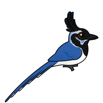 Birdorable – Unique Cute Bird Gifts & T-Shirts for Bird Lovers