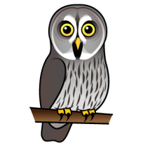 Sudden Surge: Understanding the Phenomenon of Bird Irruptions