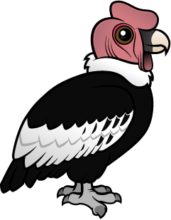 Cute Andean Condor by Birdorable