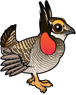 Meet the Cute Lesser Prairie-Chicken by Birdorable