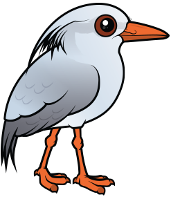 Cute Cartoon Kagu Bird From Birdorable: Meet the Birds