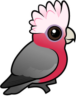 Cute Galah Cockatoo by Birdorable