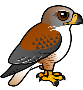 Cute Ferruginous Hawk by Birdorable