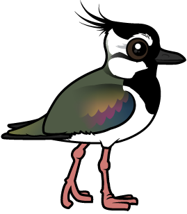 Cute Northern Lapwing by Birdorable