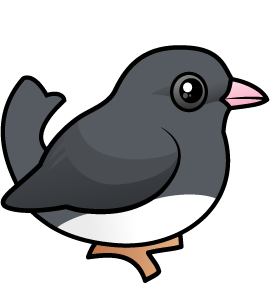 Cute Dark-eyed Junco by Birdorable