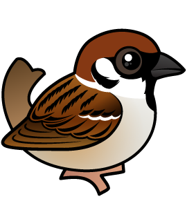 Meet the Cute Eurasian Tree Sparrow by Birdorable