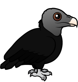 Meet the Cute American Black Vulture by Birdorable