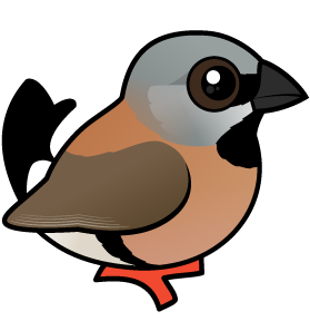 Meet the Cute Black-throated Finch by Birdorable