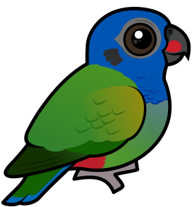 Meet the Blue-headed Parrot by Birdorable