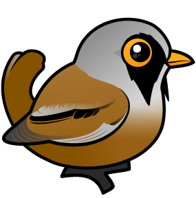 Cute Bearded Reedling by Birdorable