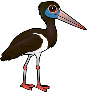 Birdorable Abdim's Stork