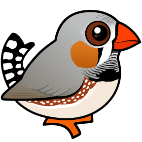 Cute Zebra Finch by Birdorable