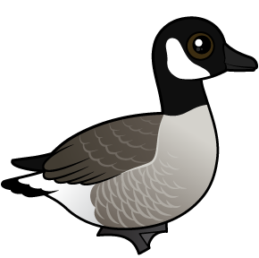 Cute Canada Goose by Birdorable