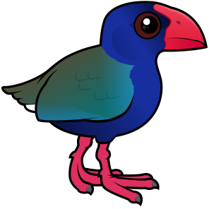 Cute South Island Takahe of New Zealand