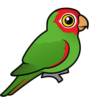 Cute Red-masked Parakeet by Birdorable