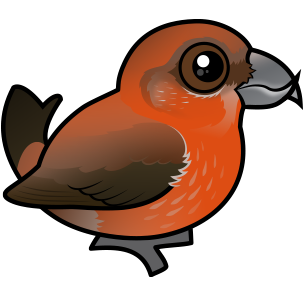 The Cute Birdorable Red Crossbill