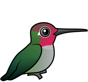 Cute Anna's Hummingbird by Birdorable