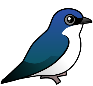 Cute Tree Swallow by Birdorable