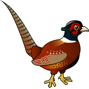 Cute Common Pheasant by Birdorable
