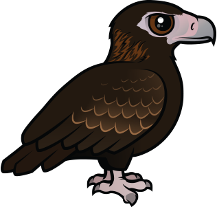Cute Wedge-tailed Eagle Cartoon Bird from Birdorable