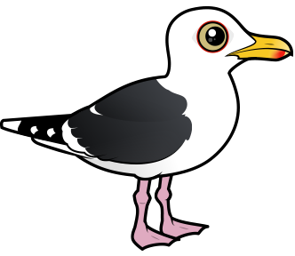 Cute Cartoon Western Gull