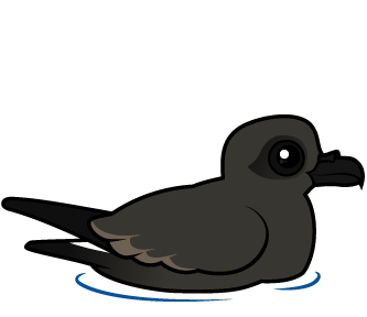 Meet the Cute Leach's Storm Petrel by Birdorable