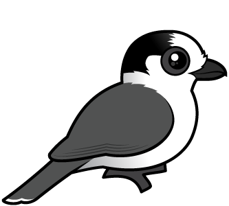 Adorable Canada Jay by Birdorable