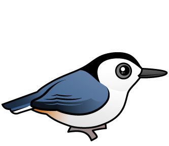Meet the Cute White-breasted Nuthatch by Birdorable