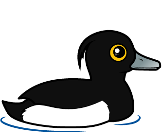 Cute Tufted Duck by Birdorable