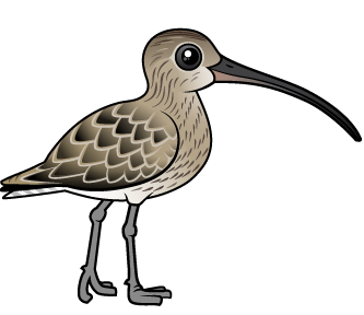 Cute Eurasian Curlew by Birdorable