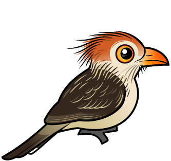 Cute Guira Cuckoo by Birdorable