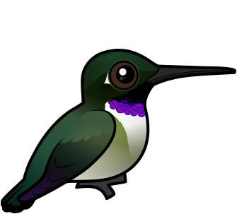 Meet the Cute Black-chinned Hummingbird by Birdorable
