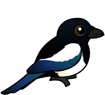 Cute Black-billed Magpie by Birdorable
