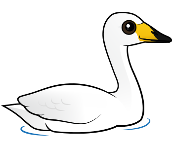 Read About the Whooper Swan, Finland's National Bird