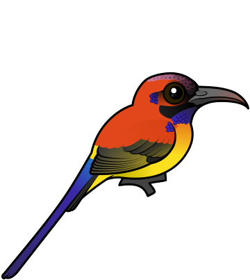 Cute Cartoon Mrs. Gould's Sunbird | Birdorable Birds