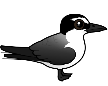 Birdorable Bridled Tern