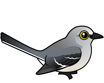 Meet the Cute Northern Mockingbird by Birdorable
