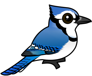 Cute Blue Jay by Birdorable