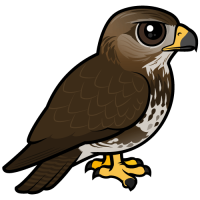 Cute Birds of Prey by Birdorable