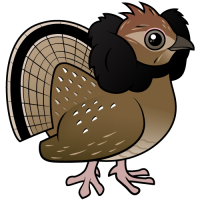 Cute Grouse by Birdorable