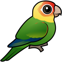 Cute Parrots & Parakeets by Birdorable