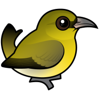 Cute Finches & Friends by Birdorable