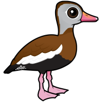Cute Ducks & Geese by Birdorable