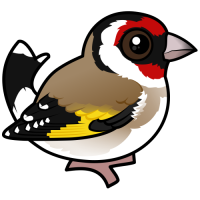 Cute Finches & Friends by Birdorable